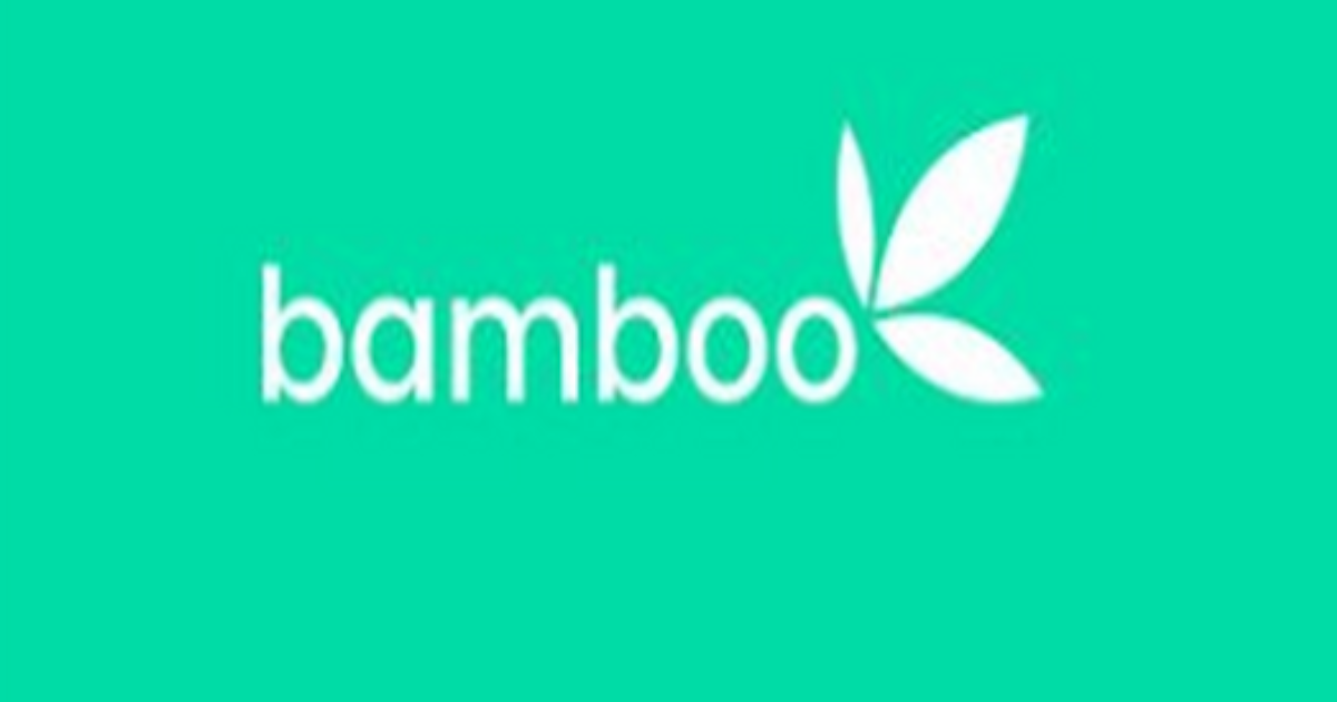 Bamboo Gets Digital Broker License from Nigeria’s Securities & Exchange ...